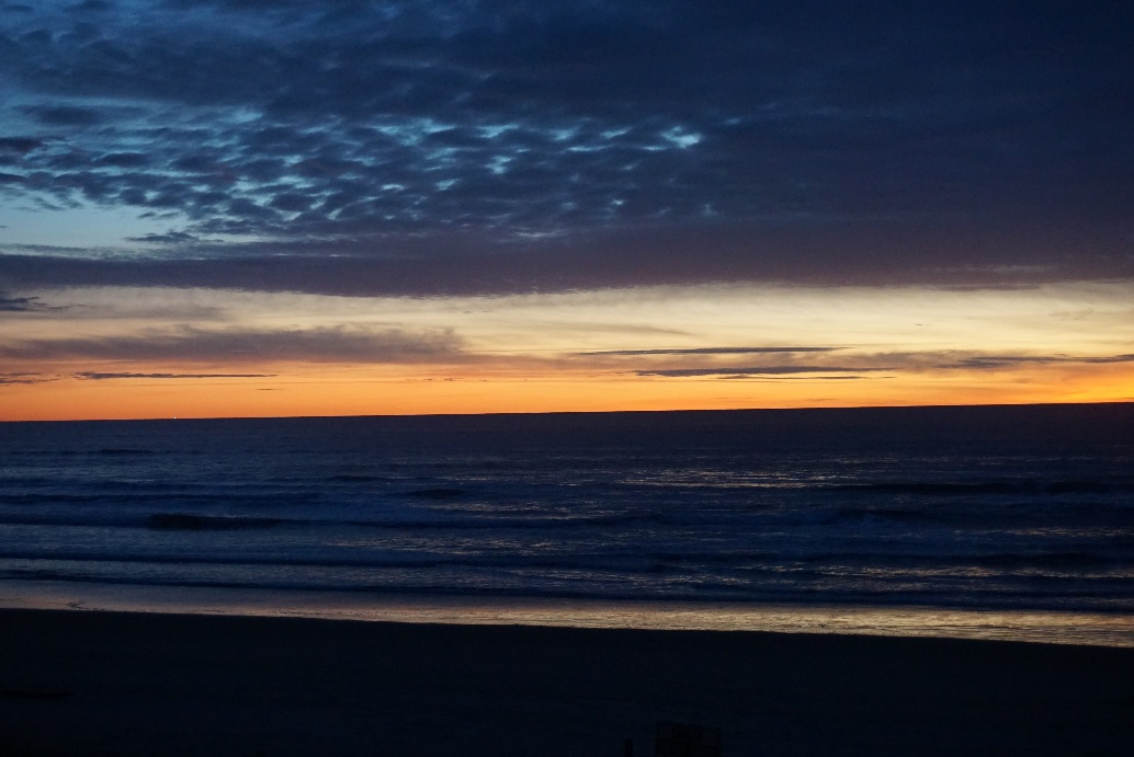 Shooting Stars, or Leaving a Legacy - Susan Maas